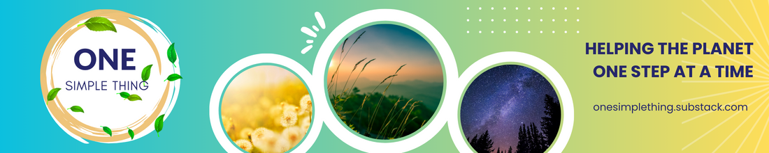 One Simple Thing – Alison Pearce Stevens