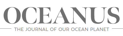 Older readers – Alison Pearce Stevens