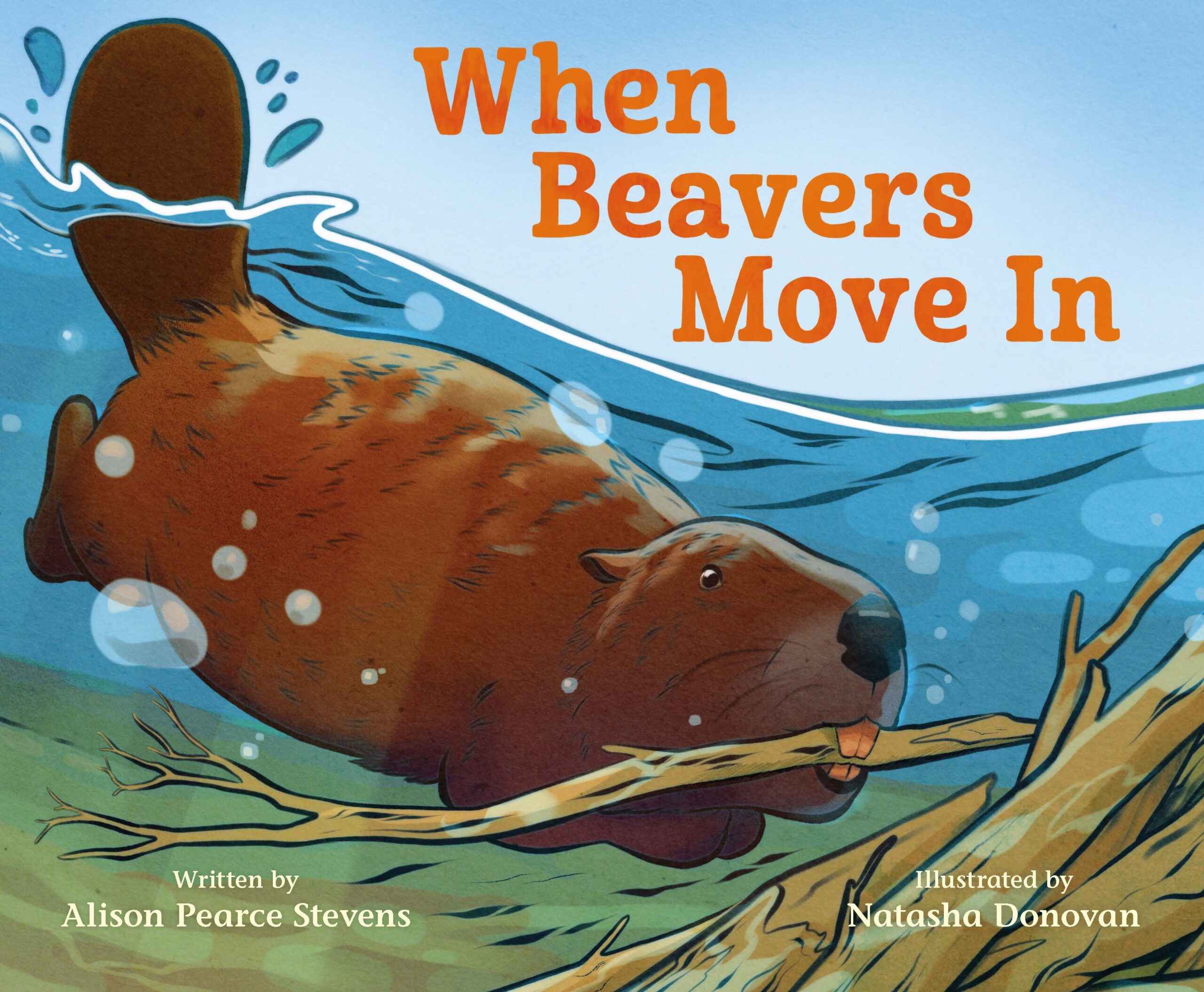 Books – Alison Pearce Stevens