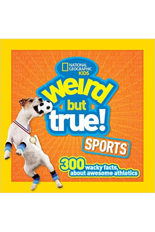 Press Kit – Alison Pearce Stevens